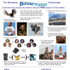 Trivia Contest | Binnewater Annual Triva Contest | Binnewater Ice ...